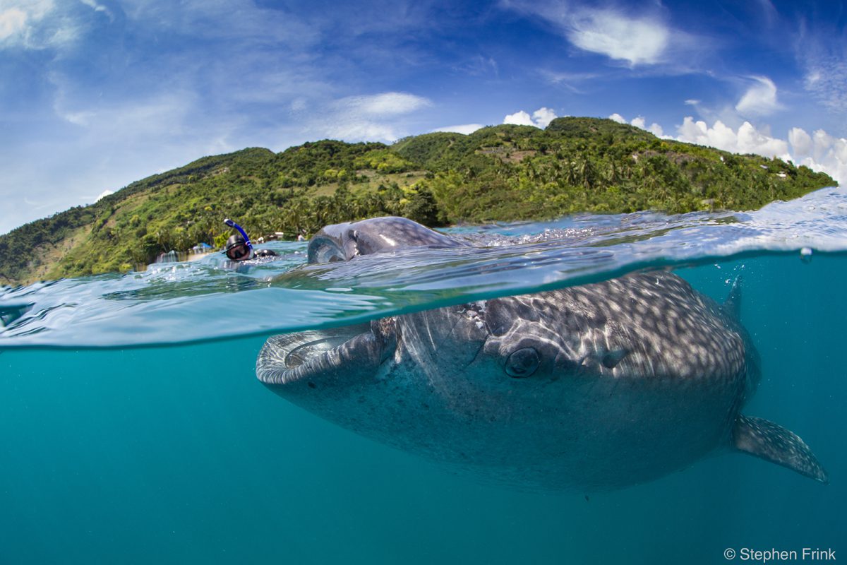 Liveaboard Dive Schedules & Availability – Explorer Ventures Fleet