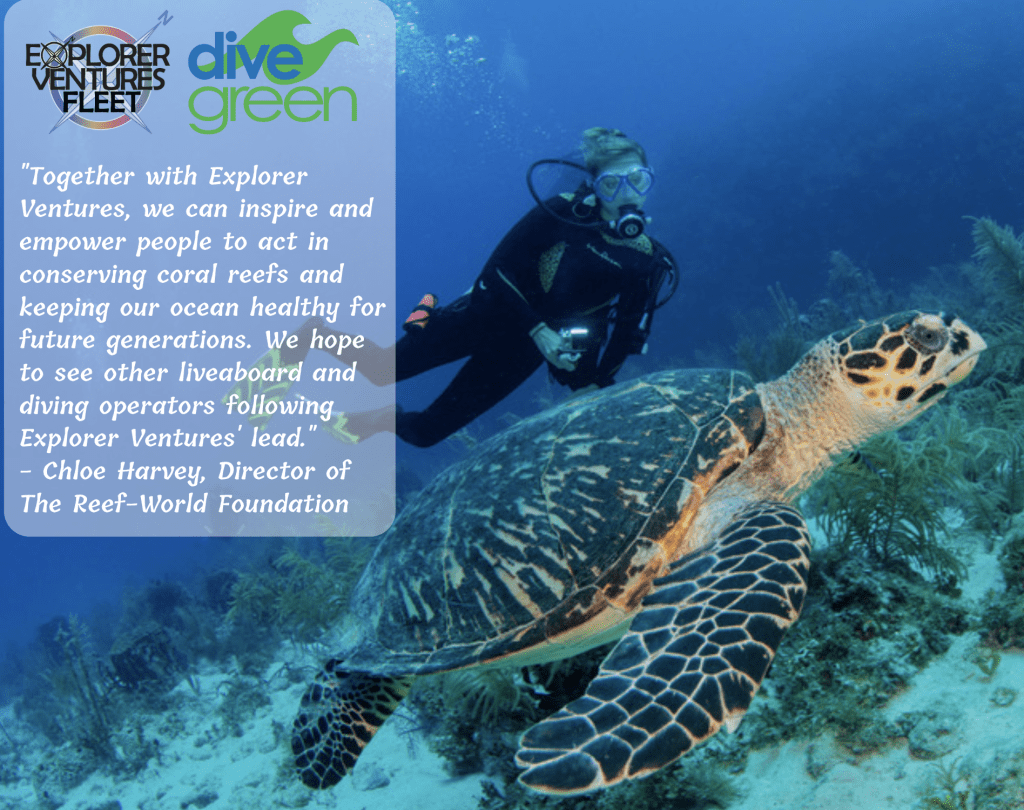 Explorer Ventures Launches Dive Green Sustainability Promise | Explorer ...