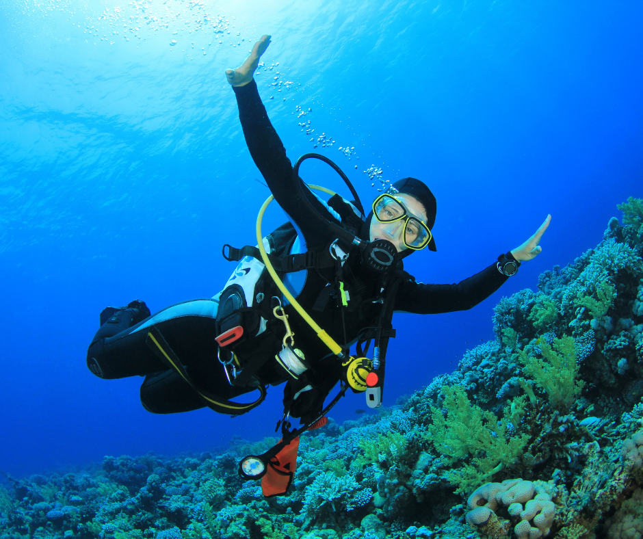 Can An Open Water Diver Liveaboard Dive? | Explorer Ventures Fleet®