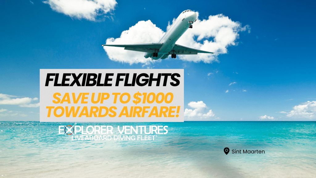 Flexible Flights Airfare Offer | Explorer Ventures Fleet®