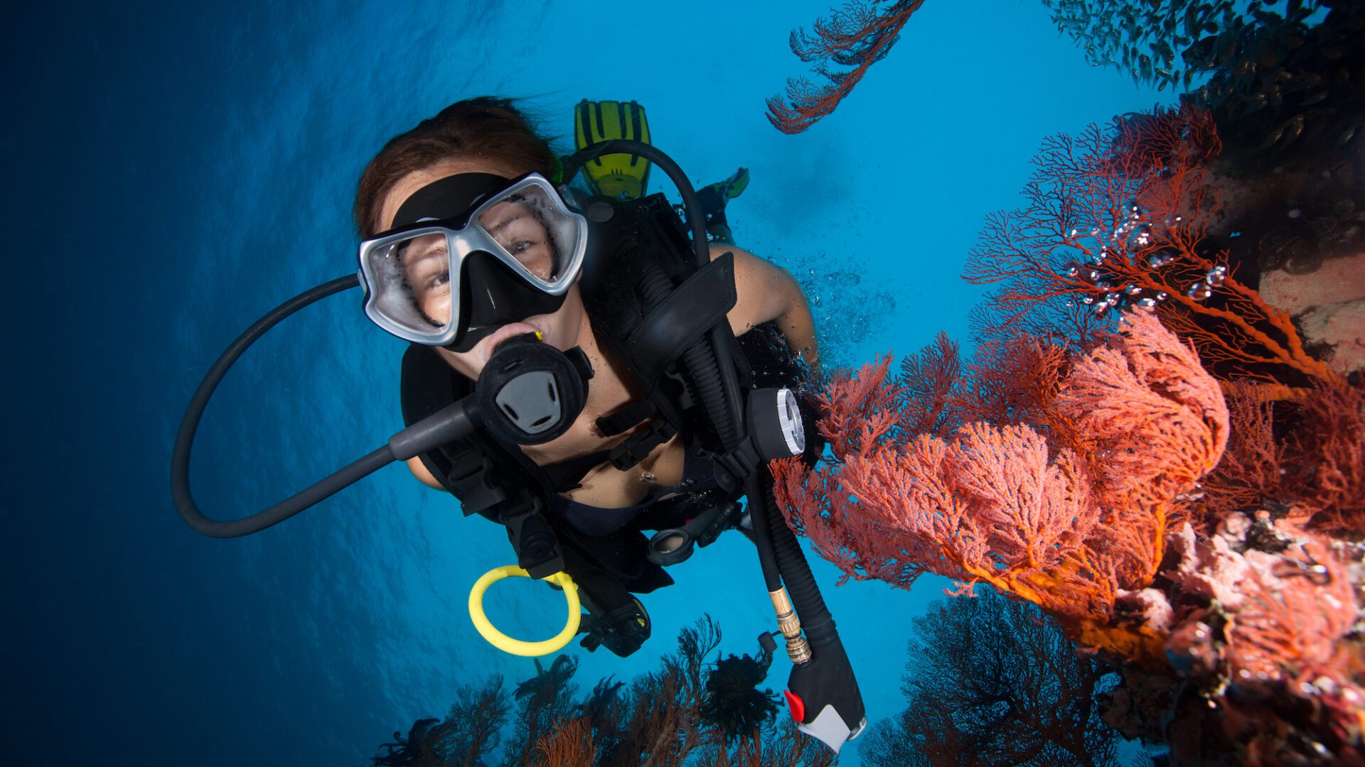 Explorer Ventures Fleet® Adventures in Liveaboard Diving