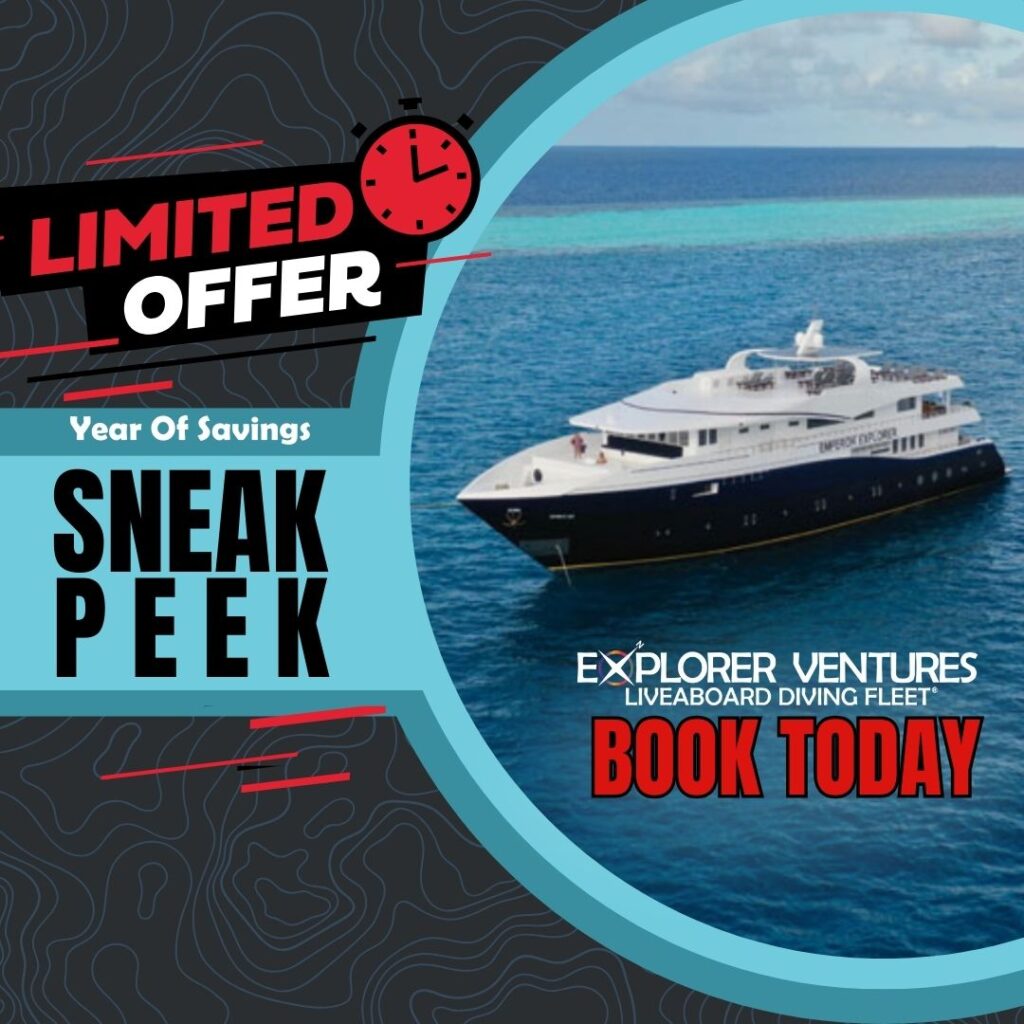 Explorer Ventures Fleet® Adventures in Liveaboard Diving
