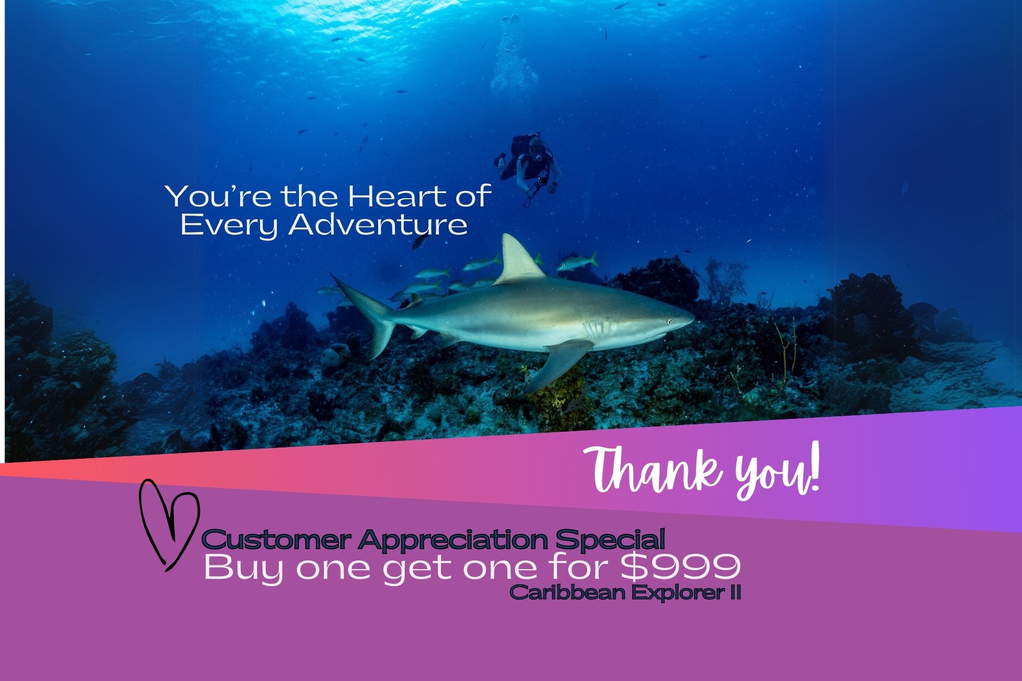 Exclusive Liveaboard Discounts & Dive Travel Deals | Explorer Ventures ...