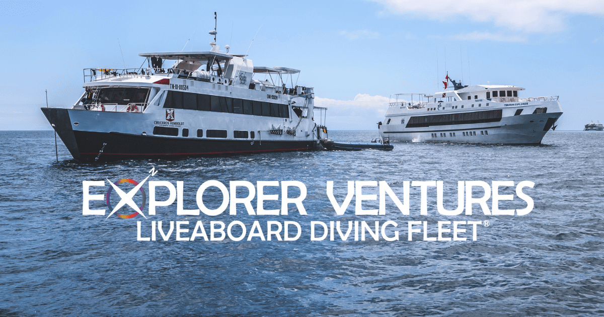 DEMA Show 2026 | Explorer Ventures Fleet®
